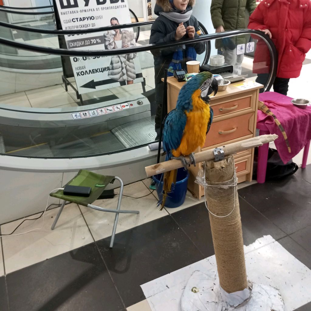 Иконка канала Alla Medved