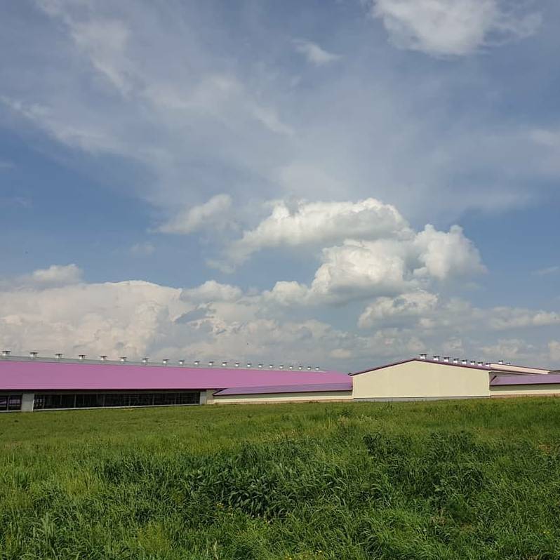 Иконка канала РОТА-АГРО