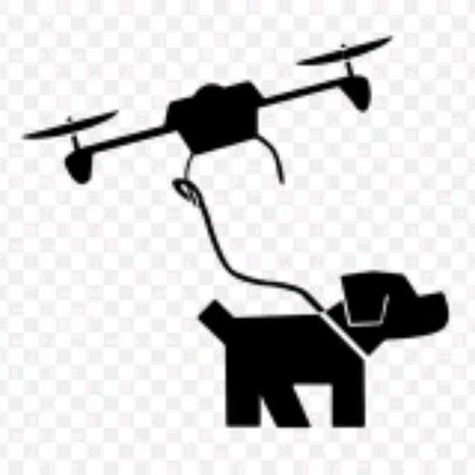 Иконка канала DronieFly