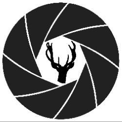 Иконка канала Донская Дичь