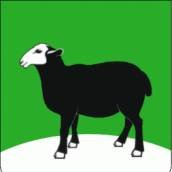 Иконка канала Admin Bug