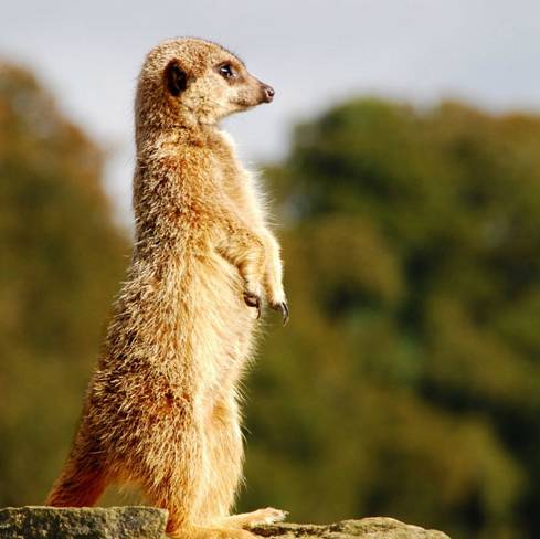 Иконка канала Безмятежность