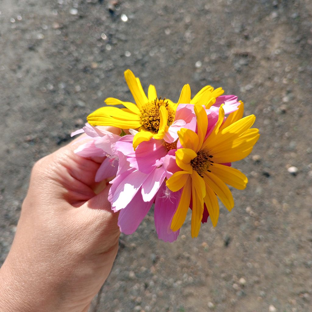 Иконка канала Маргарита_Мой творческий дневник