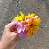 Иконка канала Маргарита_Мой творческий дневник