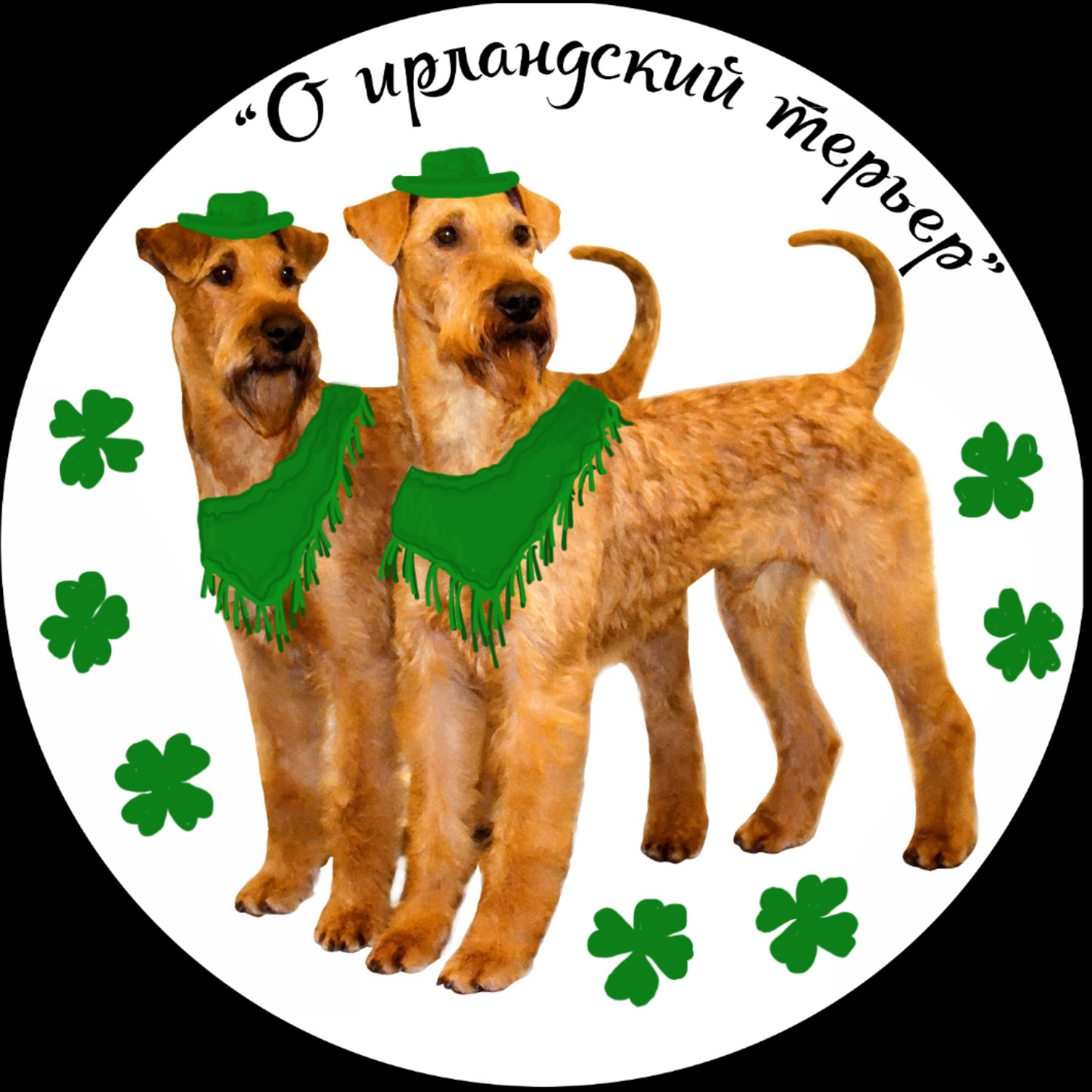 Иконка канала О ирландский терьер ВКонтакте