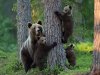 Иконка канала Предтеча