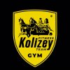 Иконка канала kolizeyfit