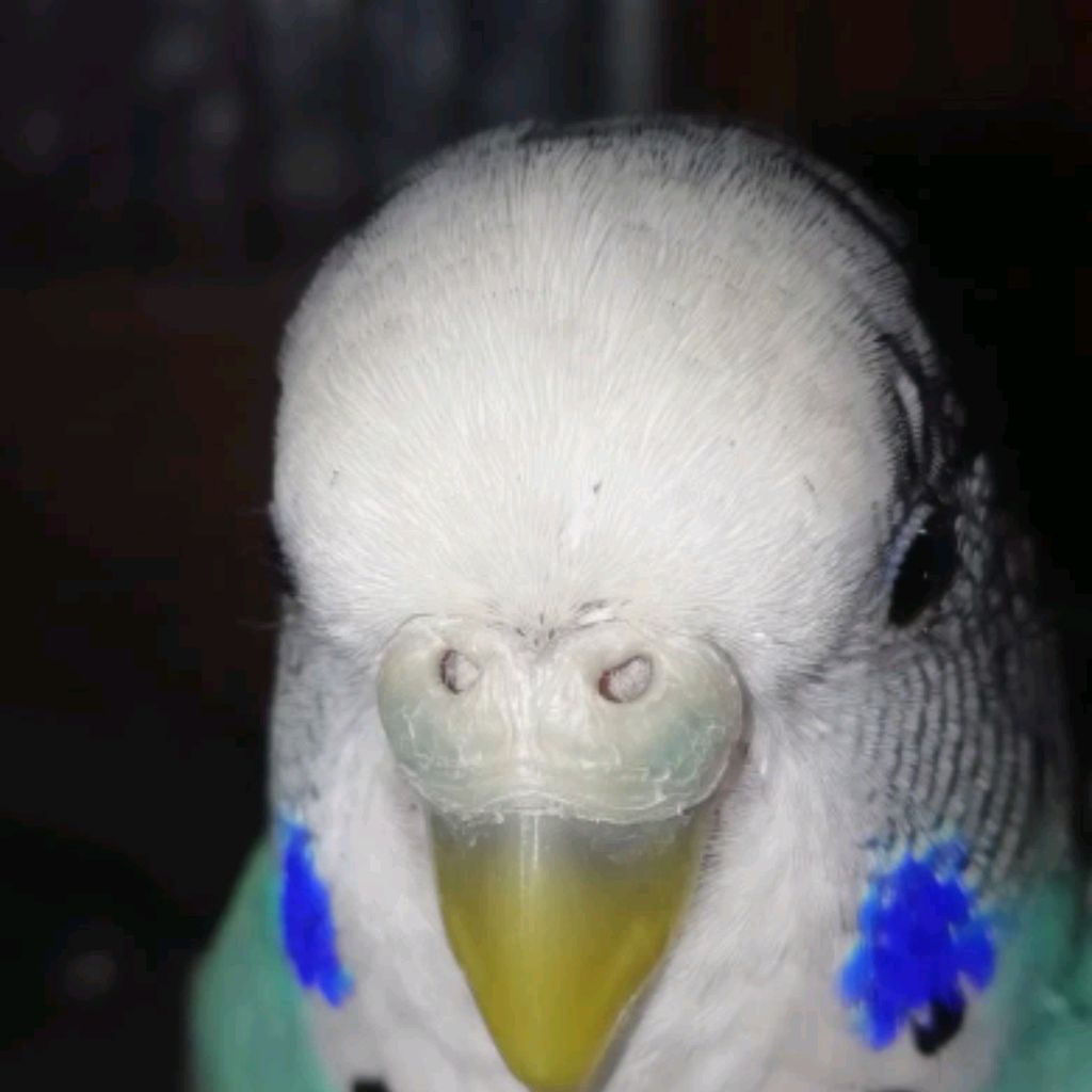 Иконка канала ☆牙⠀丁仨万牙⠀入扣☆