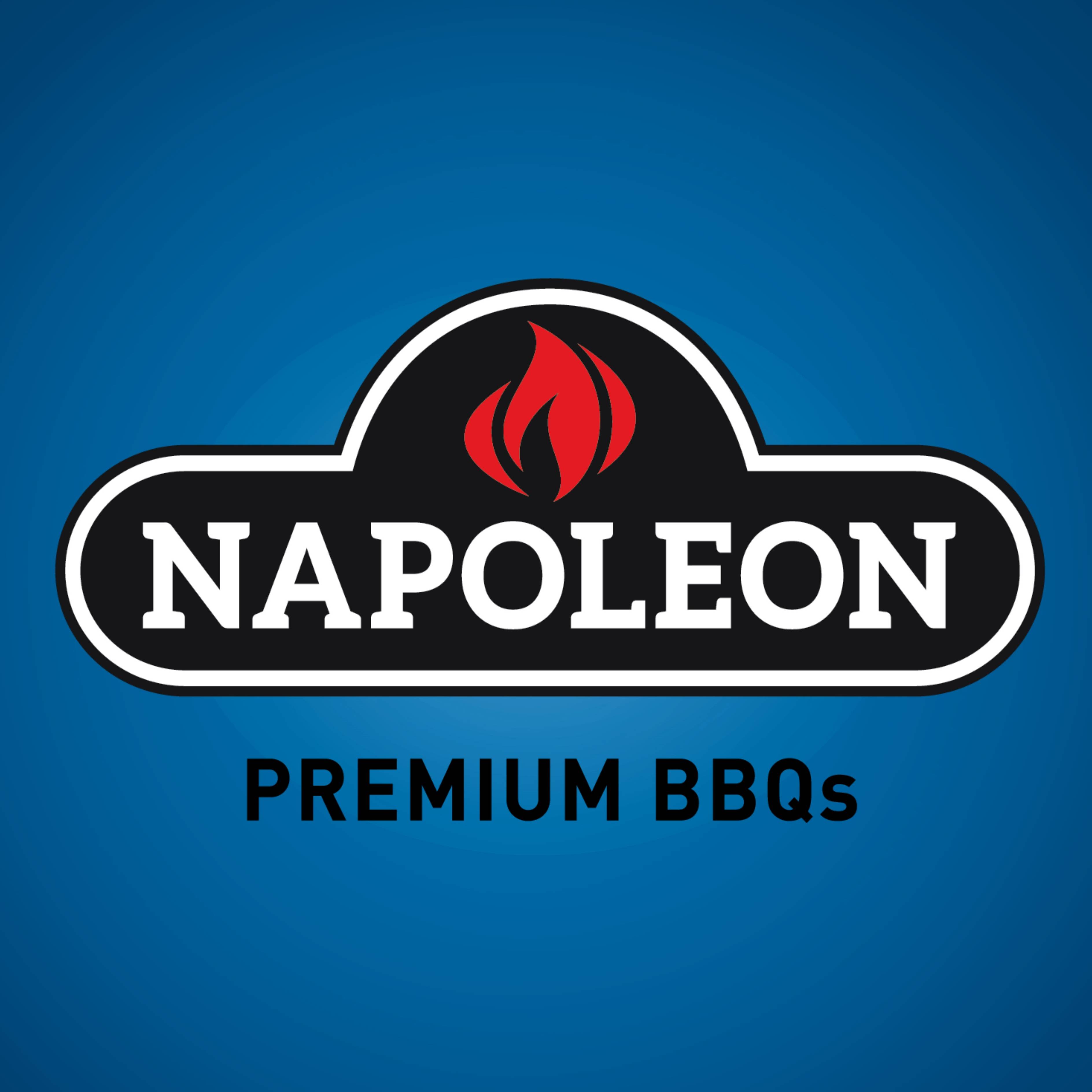 Иконка канала Napoleon Russia