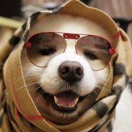 Иконка канала Dr.Smile