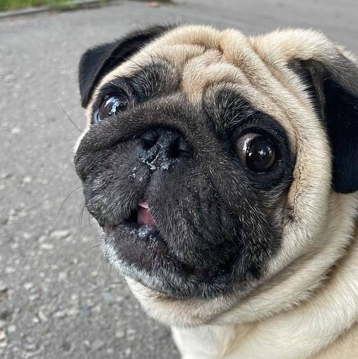 Иконка канала Koryakin Family | Фокусник, Иллюзионист