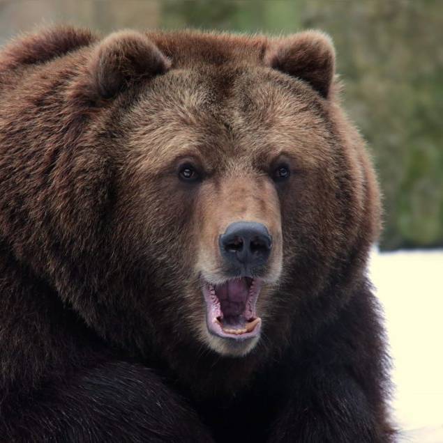 Иконка канала Про100