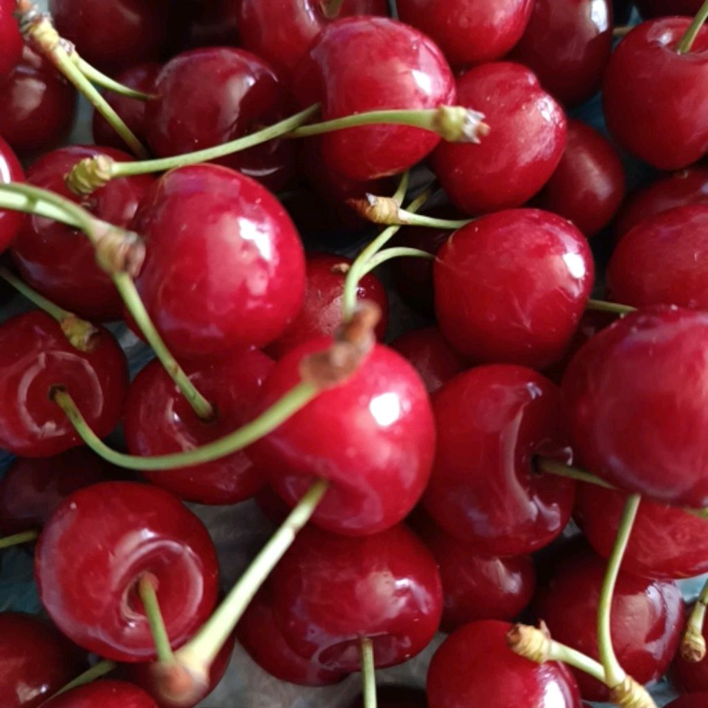 Иконка канала Мелитополь видео