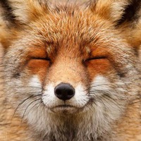 Иконка канала Артём Сидаченко