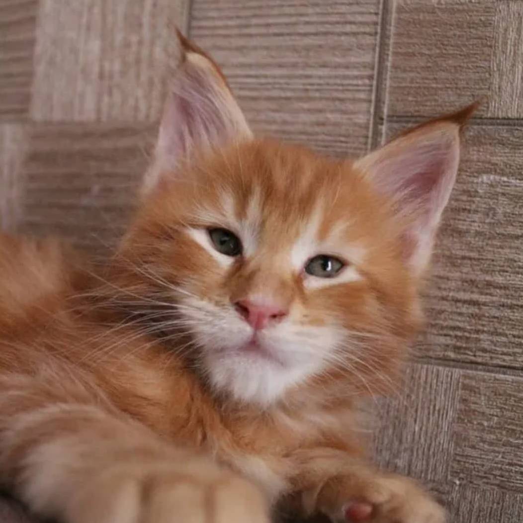 Иконка канала ГЛАЗАМИ РЕБЁНКА