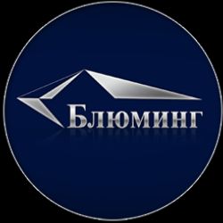 Иконка канала ООО "БЛЮМИНГ"