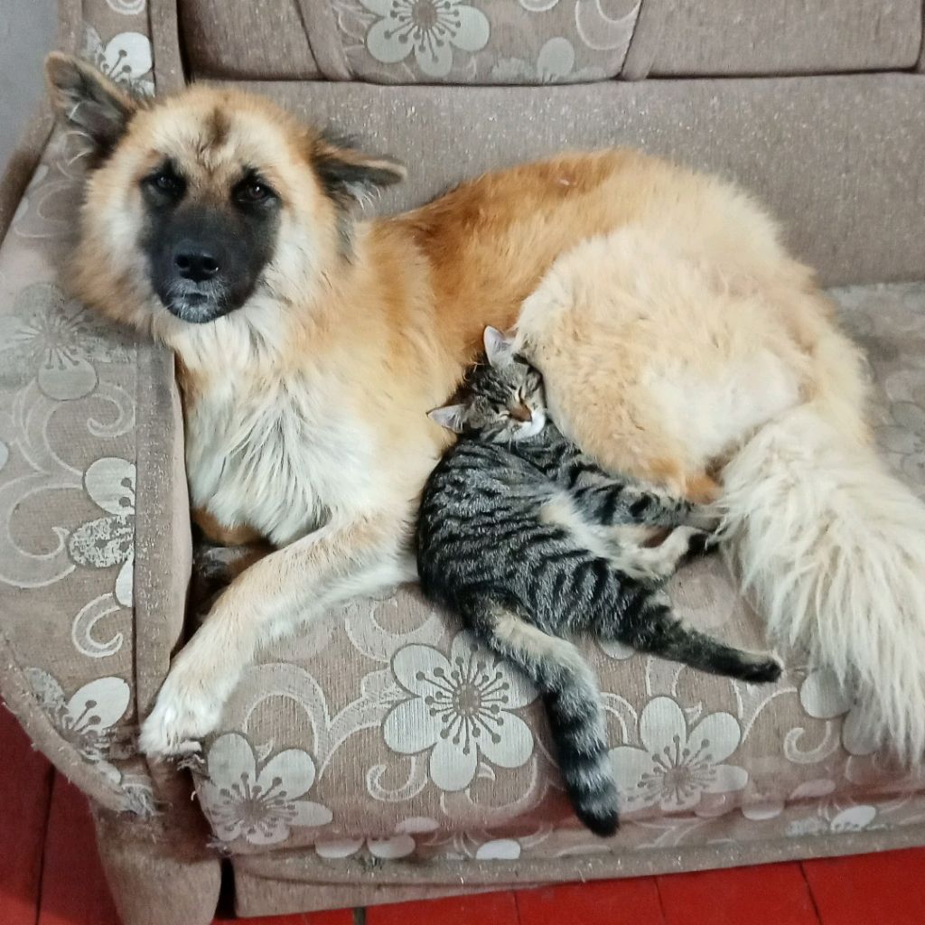 Иконка канала Диомант128