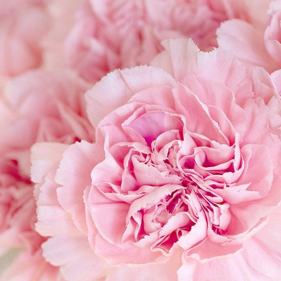 Иконка канала Бантики своими руками