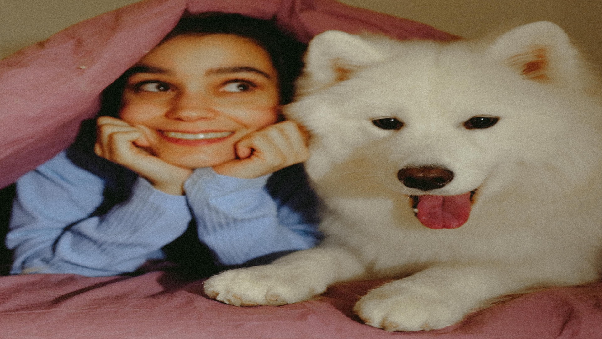 Иконка канала samoyed_fiona