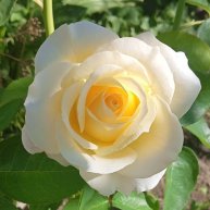 Иконка канала Жизнь в моменте.