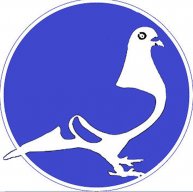 Иконка канала ИМПЕРИЯ СПОРТИВНЫХ ГОЛУБЕЙ