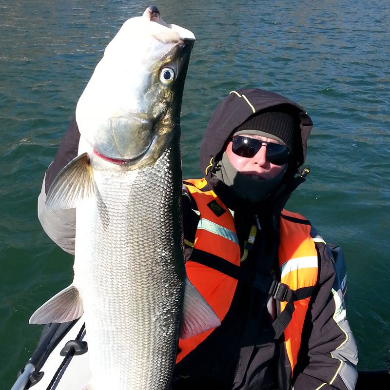 Иконка канала Рыбачу на удачу