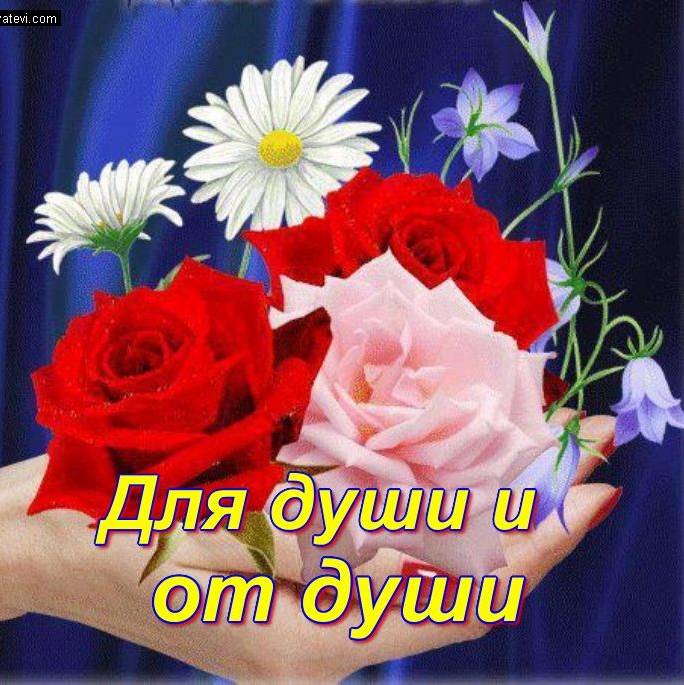 Иконка канала channel26291615