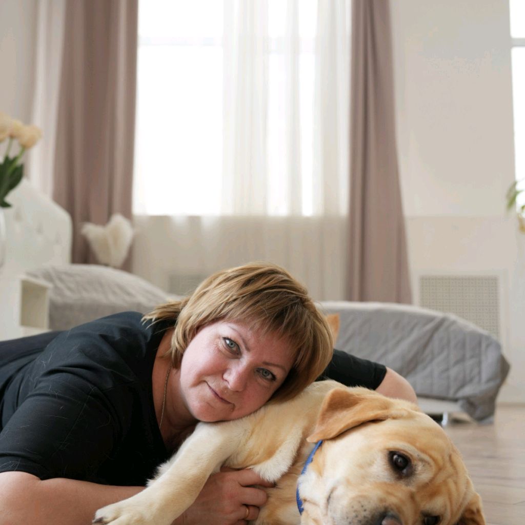 Иконка канала Лабрадоры, мопсы, спрингеры. "Премиа Де Мар"