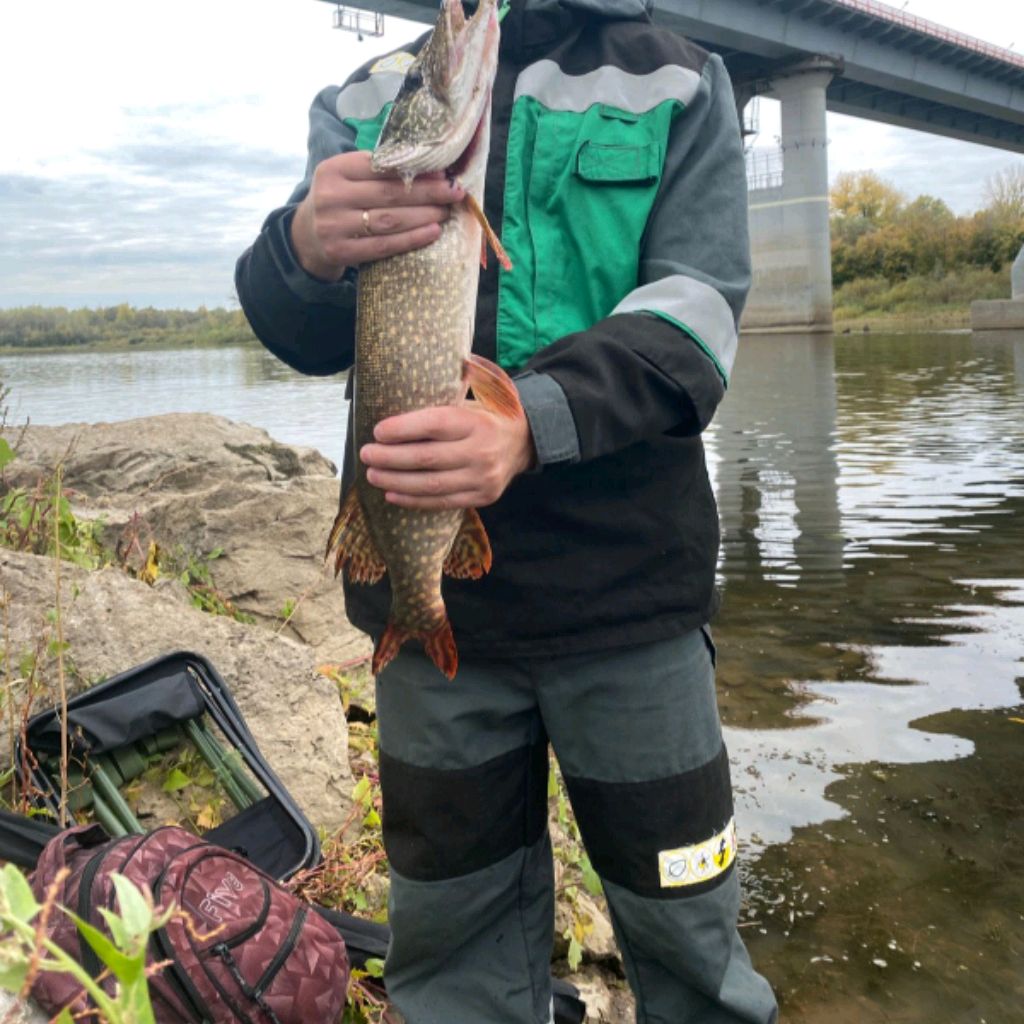 Иконка канала Все о рыбалке. Дневник рыбака