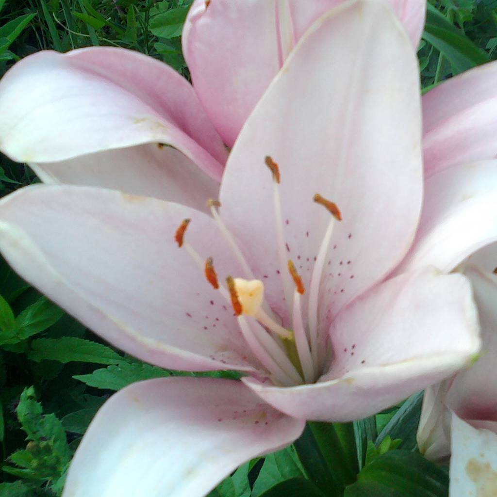 Иконка канала Ольга и Мама