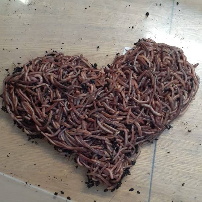 Иконка канала Жизднь