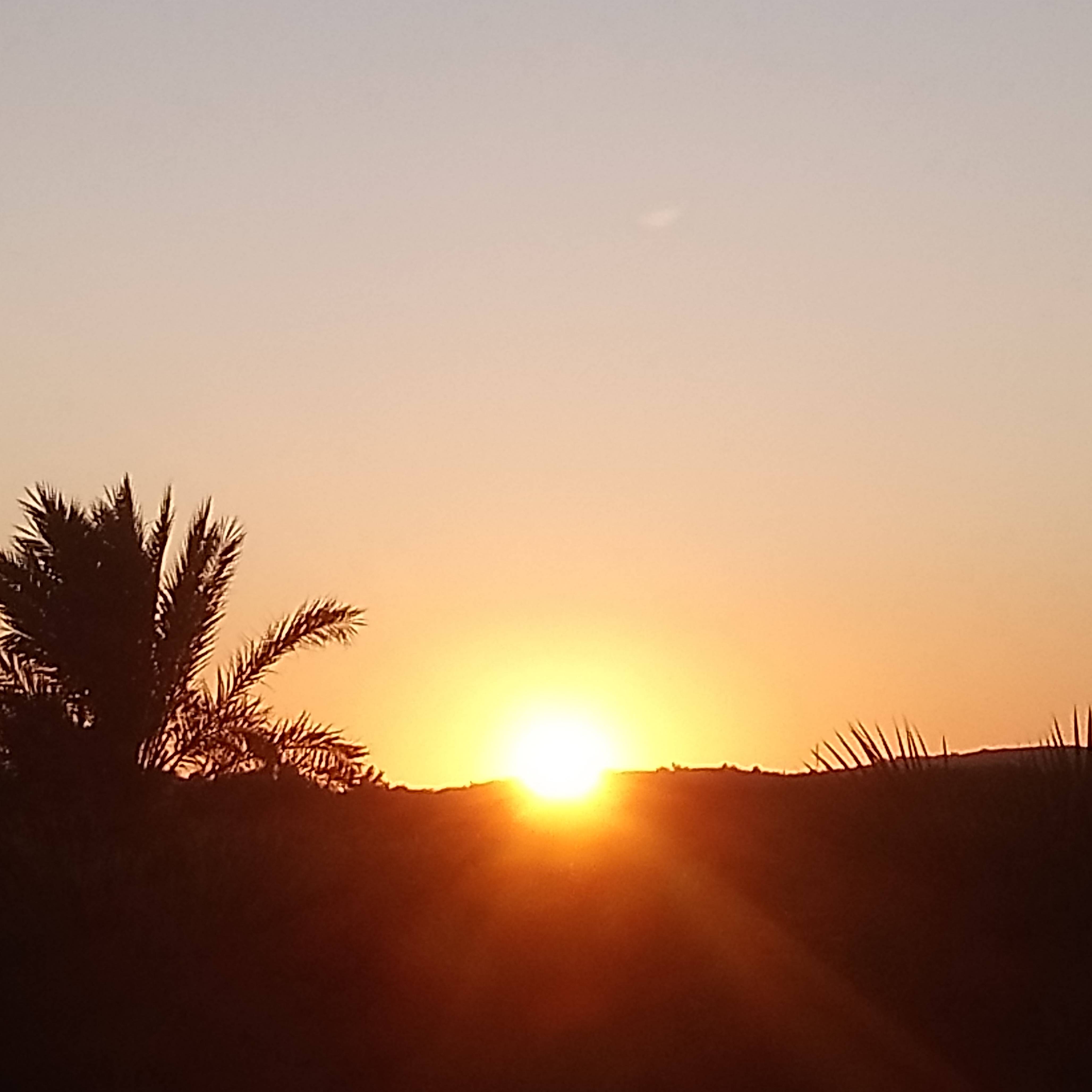 Иконка канала По следам ветра и солнца