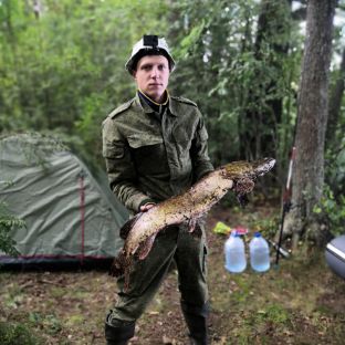 Иконка канала Дикая Рыбалка