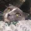 Иконка канала Ниочем