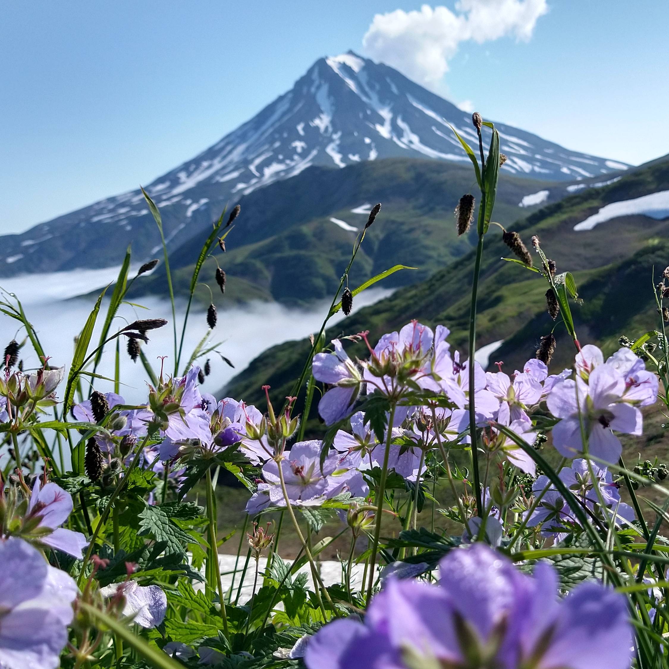 Иконка канала Андрей