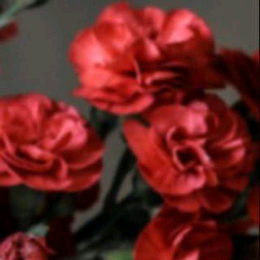 Иконка канала БЛАГОДАРНОСТЬ ЗАЩИТНИКАМ ОТЕЧЕСТВА ?