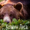 Иконка канала Хозяин Леса