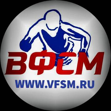 Иконка канала MIXFIGHT-VFSM