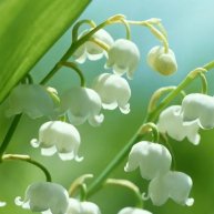 Иконка канала МУЗЫКА МОЕЙ ДУШИ песни и стихи Анны Романенко