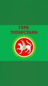 Иконка канала tatarsochi2024