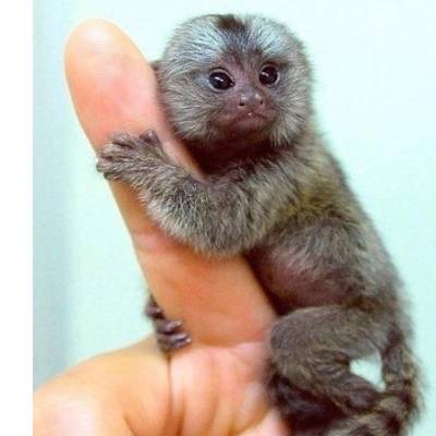 Иконка канала ЛУНА CAT ^^