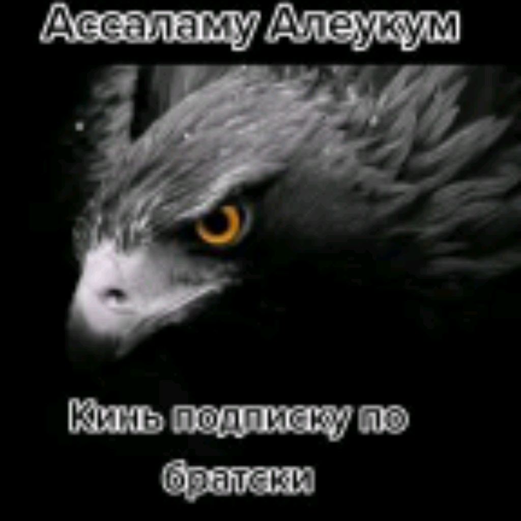 Иконка канала MUSTAFA