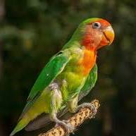 Иконка канала Relax music video