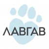 Иконка канала lavgav