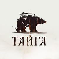 Иконка канала ТАЙГА - Бани и чаны под ключ