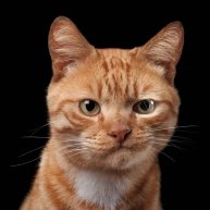 Иконка канала A Q U A R I U S