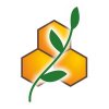 Иконка канала АПИэксперты