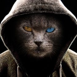 Иконка канала doost2003