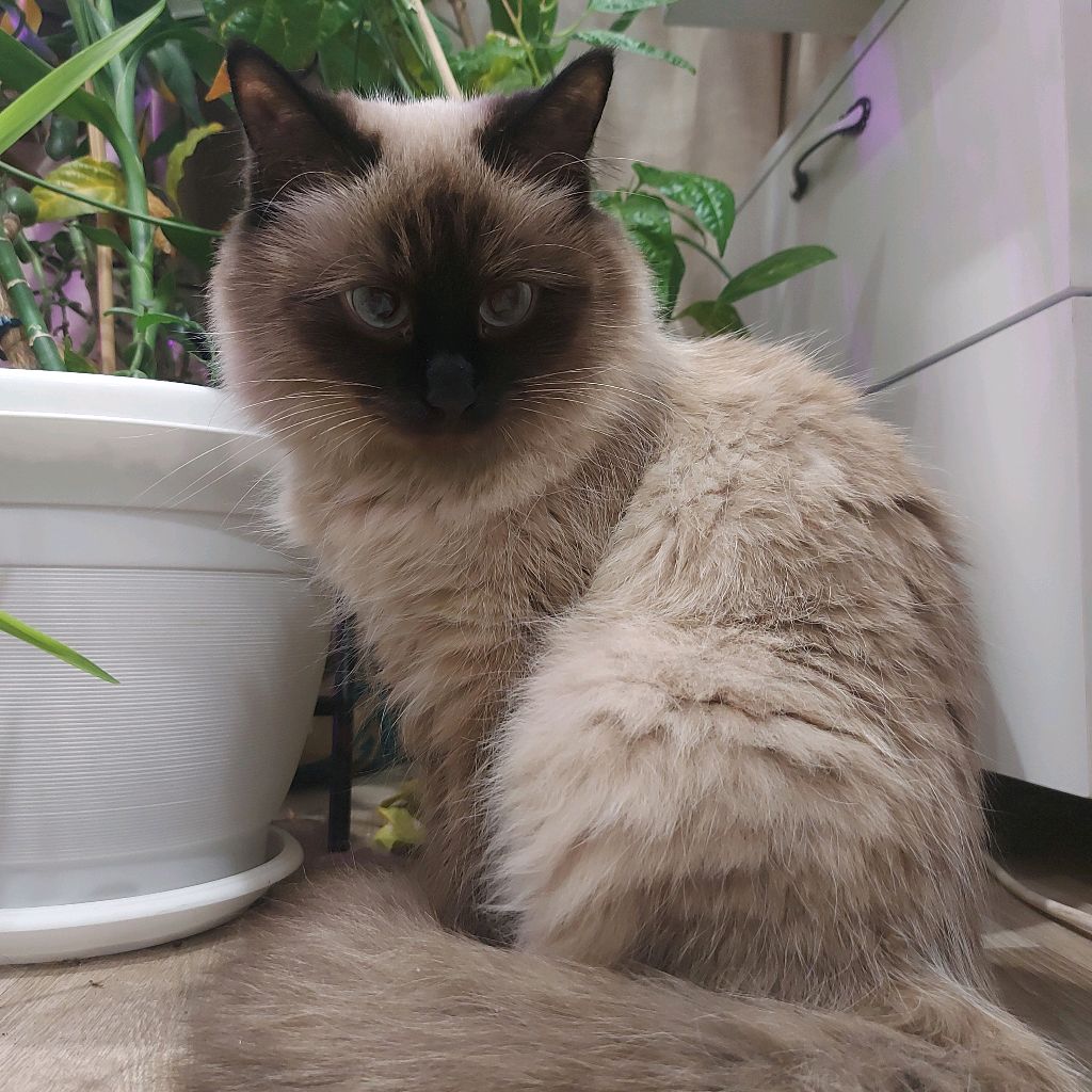 Иконка канала Bragin73