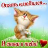 Иконка канала Athletic dolphin